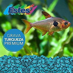 Spectrastone Special Turquoise Aquarium Gravel for Freshwater Aquariums, 5-Pound Bag