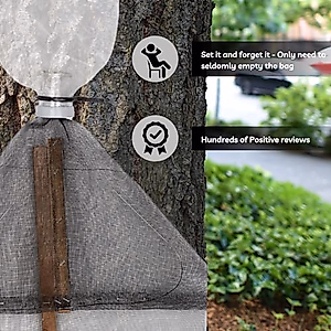 Spotted Lanternfly Tree Trap, Catch Lanternfly Without Catching Other Wildlife, Natural and Non Toxic - Made in USA