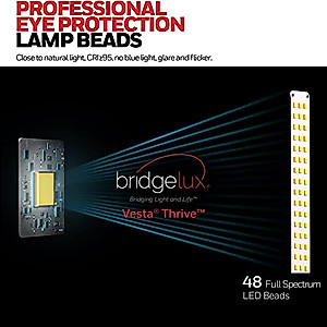 Honeywell Desk Lamp Home Office - LED Lighting with Charging Station A+C USB Port for Small Spaces Bedroom Reading Crafts HWT-H01 Black