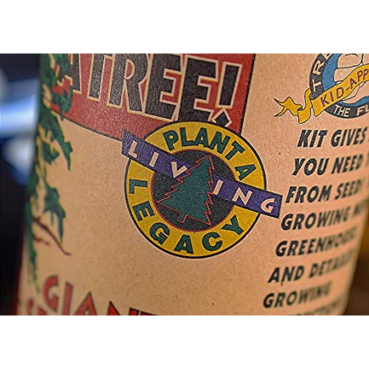 Giant Sequoia | Tree Seed Grow Kit | The Jonsteen Company