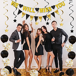 We Will Miss You Decorations Gold Glitter We Will Miss You Banner, Triangle Flag Garland, Star Hanging Swirls and Balloons for Office Leaving, Farewell, Goodbye, Going Away Party Decorations