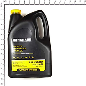 Briggs & Stratton 100170 Vanguard 15W-50 Heavy Duty Synthetic Oil, 5 Quart