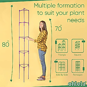 Large Tomato Cages for Garden - 6.5ft (Up to 80 Inches) Heavy Duty Tomato Cages for Vine, Vegetables, Fruits & Flowers with Adjustable Stake Arms - Tomato Stakes with 20Pcs Plant Clips