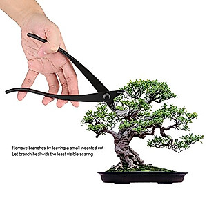 GLOGLOW 204mm 8inch Knob Branch Cutter, Garden Fruit Tree Hollow Concave Cutter Tool with Round Gardening Bonsai Tools Scissors