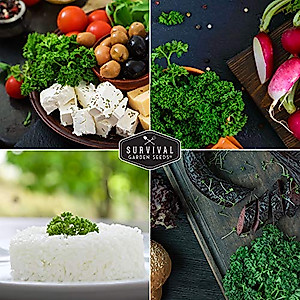 Survival Garden Seeds - Curled Parsley Seed for Planting - Packet with Instructions to Plant and Grow Nutritious Curly Parsley Herb Plants in Your Home Vegetable Garden - Non-GMO Heirloom Variety