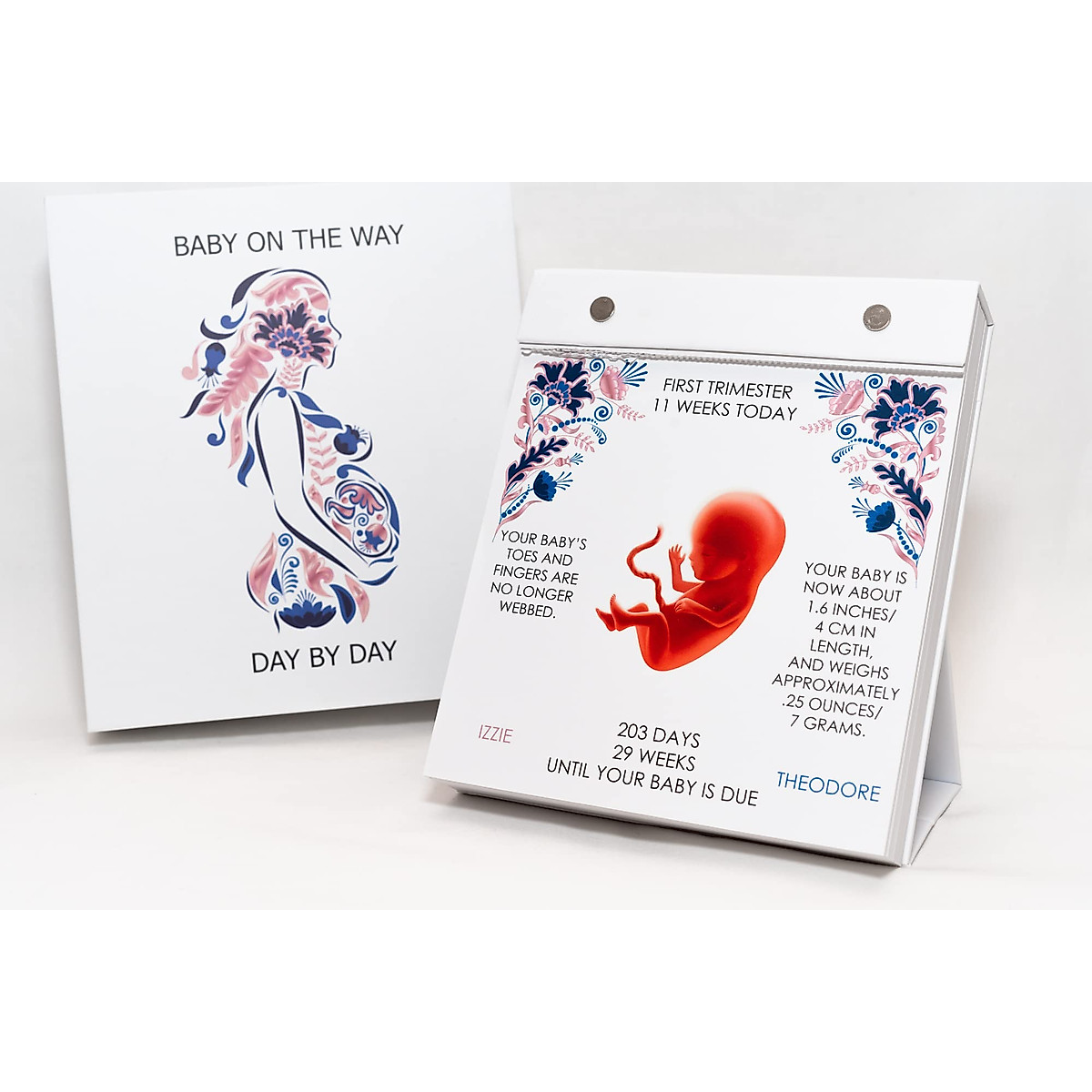 Baby On The Way - Day By Day Pregnancy Calendar, Pregnancy guide, Pregnancy gift, daily countdown planner, pregnancy journal, Keepsake Journal, pregnancy keepsake, pregnancy journal, new mom gift