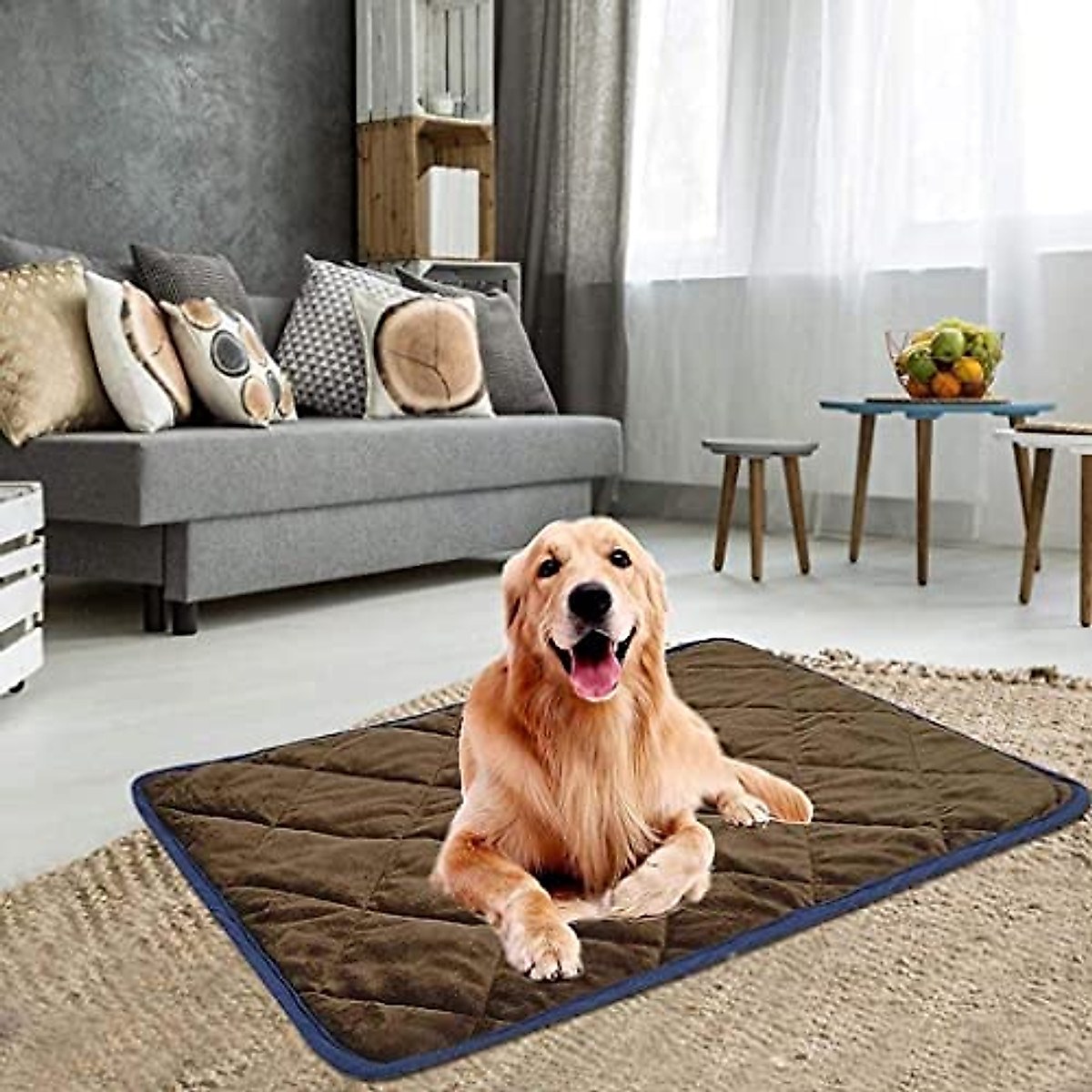 Non-Electric Pet Warming Pad, Pet Blanket Thermal Cat and Dog Warming Bed Mat for Cats Dogs and Kittens for Outdoor Indoor