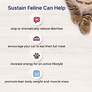 EMERAID Sustain Feline Recovery Food for Cats 400 g