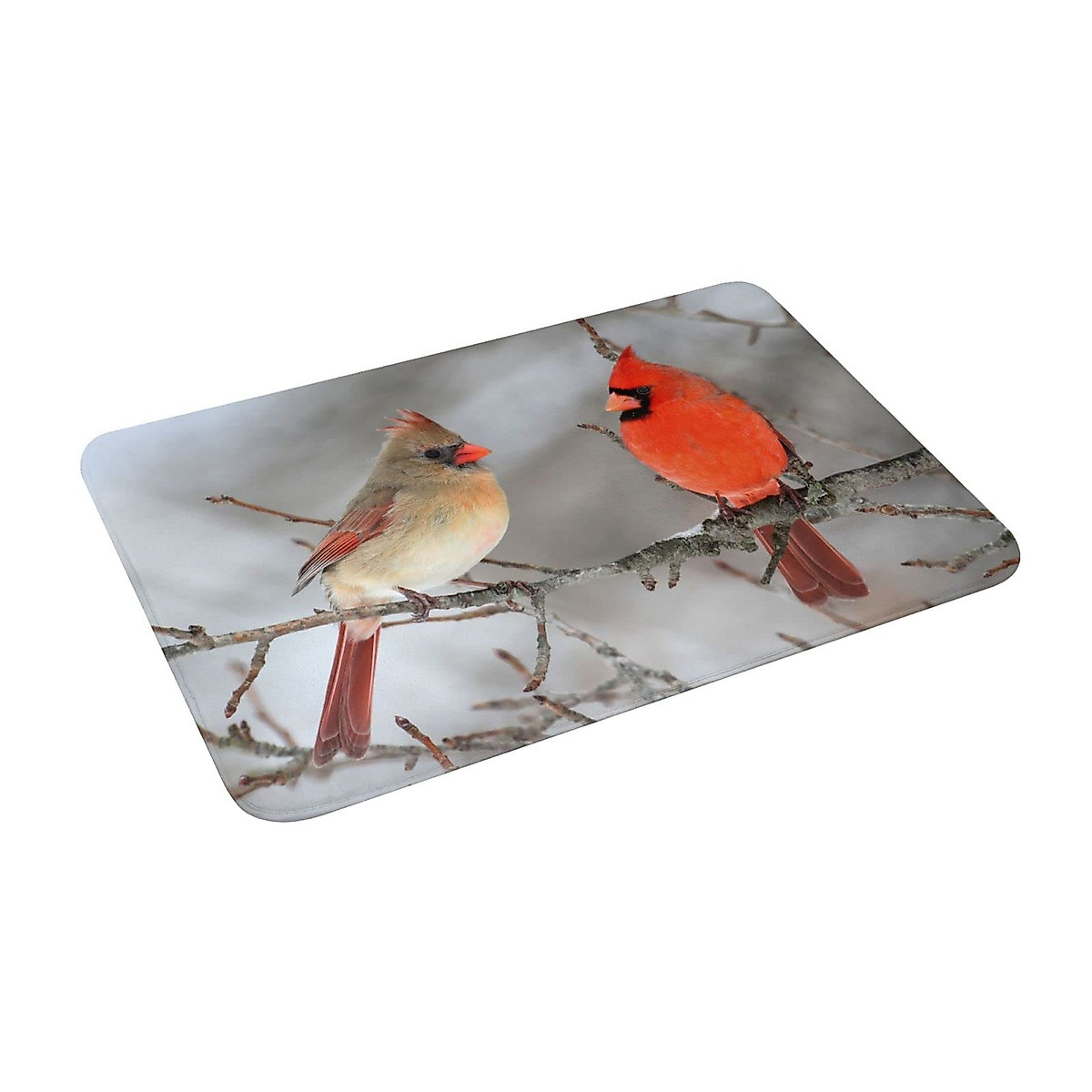 Bath Rugs Cute Cardinal Birds Standing on Branches Door Mat Outdoor Winter Birds Natural Design Doormat Non Slip Absorbent Bathroom Rug Carpet for Home Entrance Kitchen 16x24in