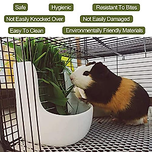 kathson Rabbit Hay Feeders Ceramic Food Bowl Rack Bunny Water Bottles Dispenser Small Animal Chew Twist for Rabbit Guinea Pig Chinchillas Hamsters