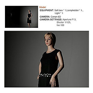 Godox 12"x 47" 30x120cm Honeycomb Grid Rectangular Softbox for Photo Strobe Studio Flash Softbox Bowens Mount