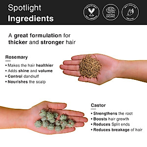 Soulflower Rosemary Castor Hair Oil for Hair Growth, Hairfall Control, For Dry, Damaged, Curly, Coily, Frizzy & Beard Hair - 100% Pure, Vegan,Ecocert Cosmos Organic Certified, 6.77 fl oz