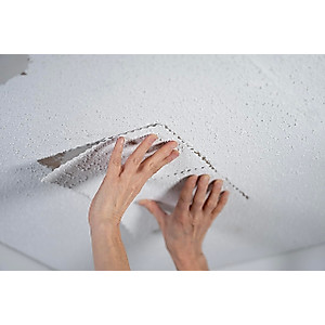 Hyde 09954 Popcorn Ceiling Repair Kit, White