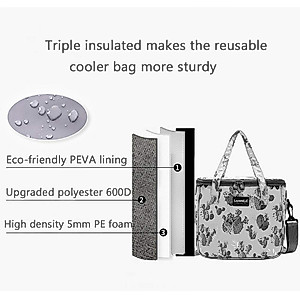Evergoo Reusable Lunch Bags for Women, Insulated lunch Box with Adjustable Shoulder Strap, Cute Thermal Cooler tote Bag for Office/Beach/Hiking/Picnic/Workout-Cactus