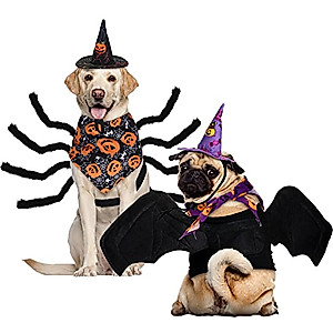 6 Pcs Pet Halloween Costumes Dogs Spider Costume Puppy Cats Bat Wings Costume with 2 Halloween Dog Bandanas 2 Halloween Pumpkin Witch Hat Halloween Pets Cosplay Costumes Accessories for Dog Cat Puppy
