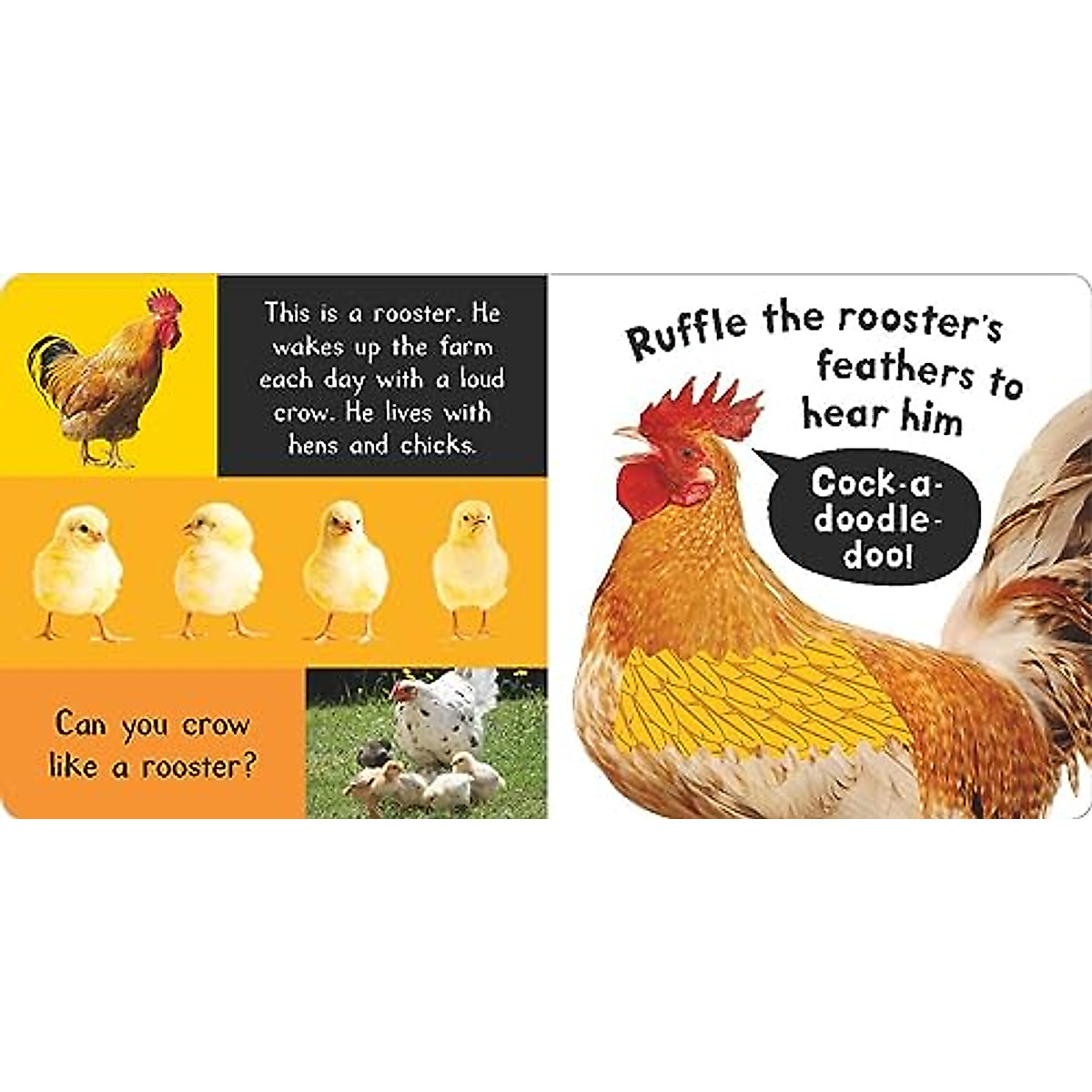 Noisy Farm: Includes Six Sounds! (My First)