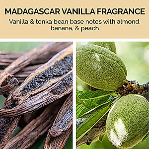 Colorproof SuperPlump Line Volume Conditioner 2 Fl. Oz. Volumizing Sulfate Free Conditioner, Madagascar Vanilla Scent