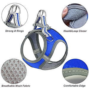 JSXD Small Dog Harness,Puppy Harness,Adjustable Leash and Collar Set for Small Dogs,Step-in Dog Harness,3M Reflective Pet Dog Vest for Small Medium Puppy