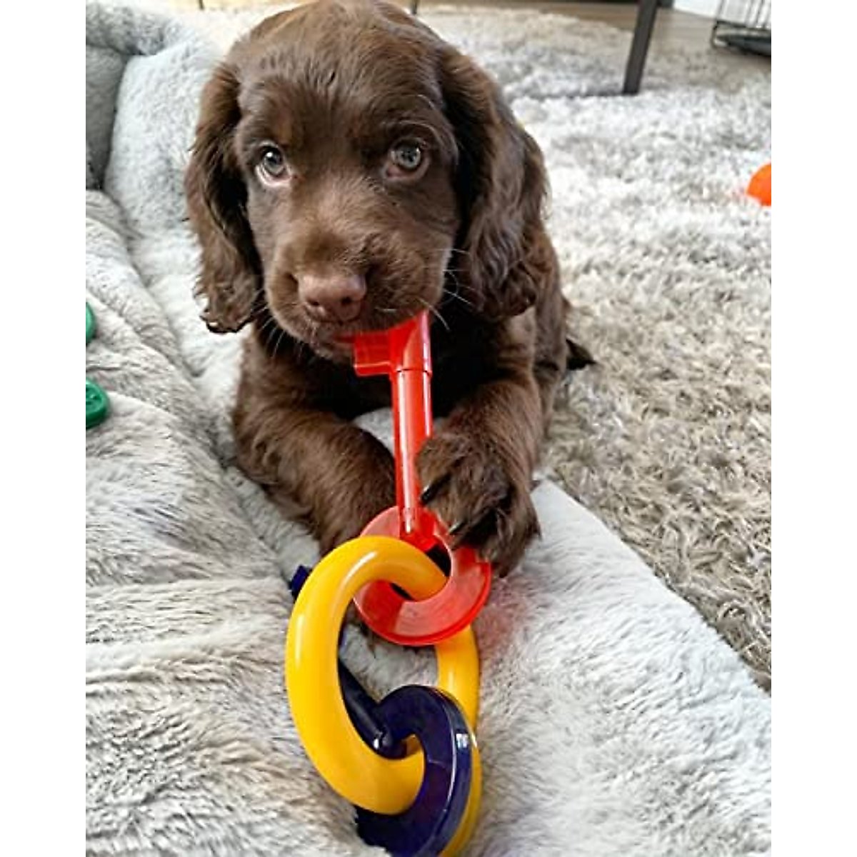 Nylabone Puppy Chew Keys Toy - Puppy Chew Toys for Teething - Puppy Supplies - Bacon Flavor, Small (1 Count)