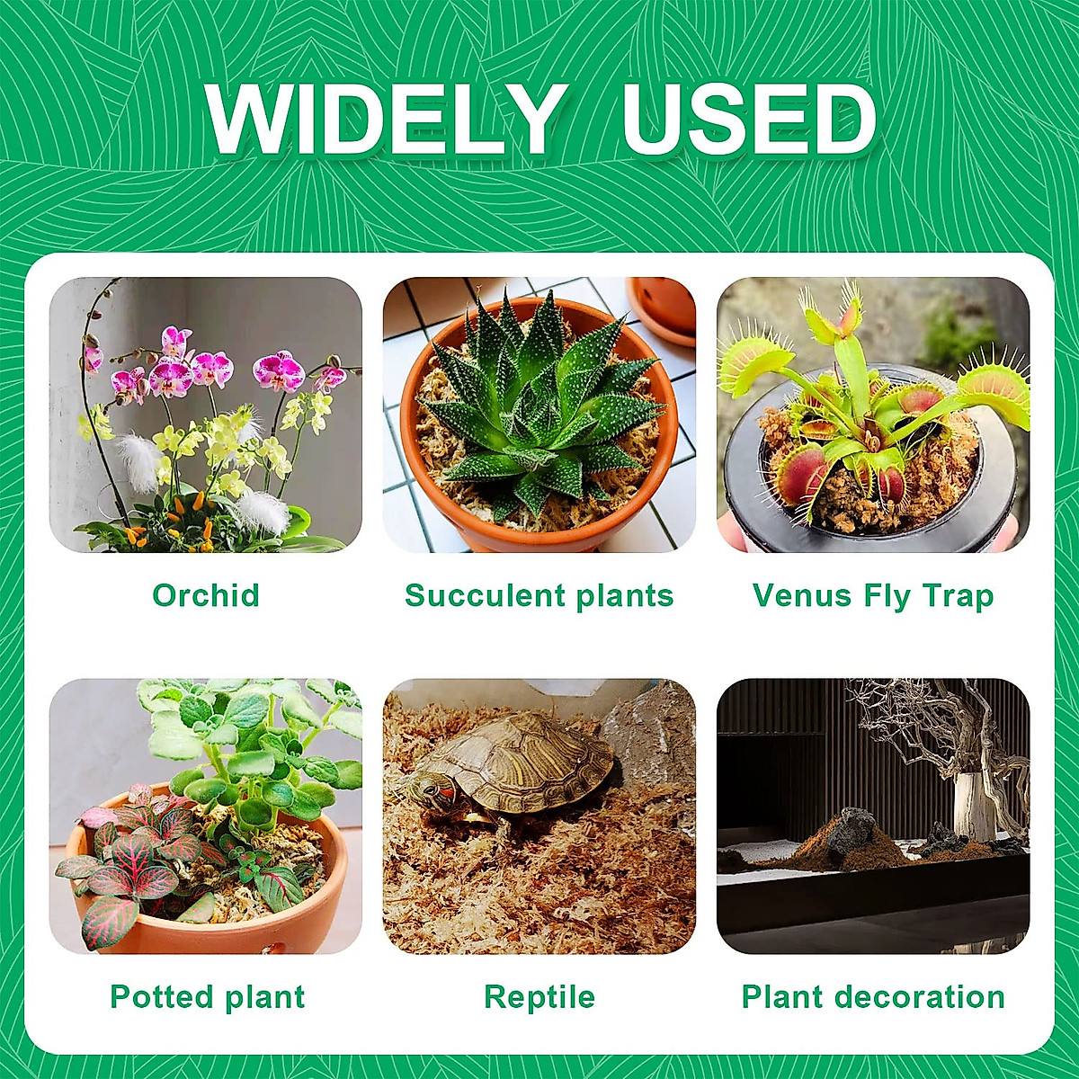 Mostopiaryart Sphagnum Moss Perfect for Plant Propagation, Extremely Strong Water Absorption Ability, Help with Maintain Humidity(3.5OZ)