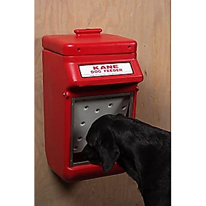 KANE Automatic Dog Feeder