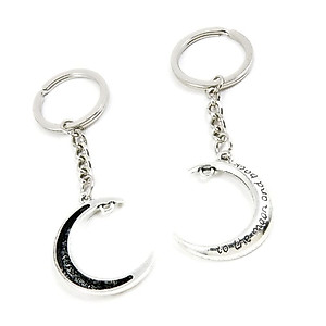 100 Pieces Keychain Keyring Door Car Key Chain Ring Tag Charms Supplies W1WC9P to The Moon and Back