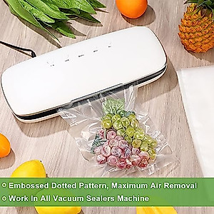 Dandat 600 Count Food Vacuum Sealer Bags 8 x 12 Inches Food Bags with Vacuum Seal Freezer Bags for Sous Vide Vacuum Sealer Precut Bags