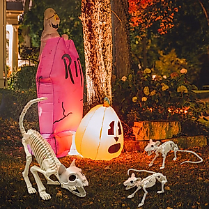LUKBERA Halloween Animal Skeleton Decorations, Dog Animal Bones Skeletons with Posable Joints for Haunted Houses, Graveyard Scenes, Halloween Party Décor