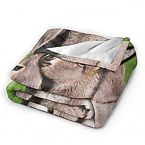 Animal Donkey Meadow Large Flannel Fleece Blanket Microfiber Blanket-Super Soft Warm Comfortable Blanket Camping Travel Chair Sofa Sofa Bed 80"x60"
