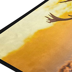 susiyo Red Deer in Morning Sun Kitchen Rug Floor Mat Non-Slip Anti Fatigue Memory Foam Comfort Standing Mats for Entryway Hallway Bathroom Welcome Doormat 39x20inch