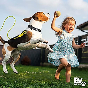 BV Pet Small Tie Out Cable for Dog up to 35 Pound, 25-Feet