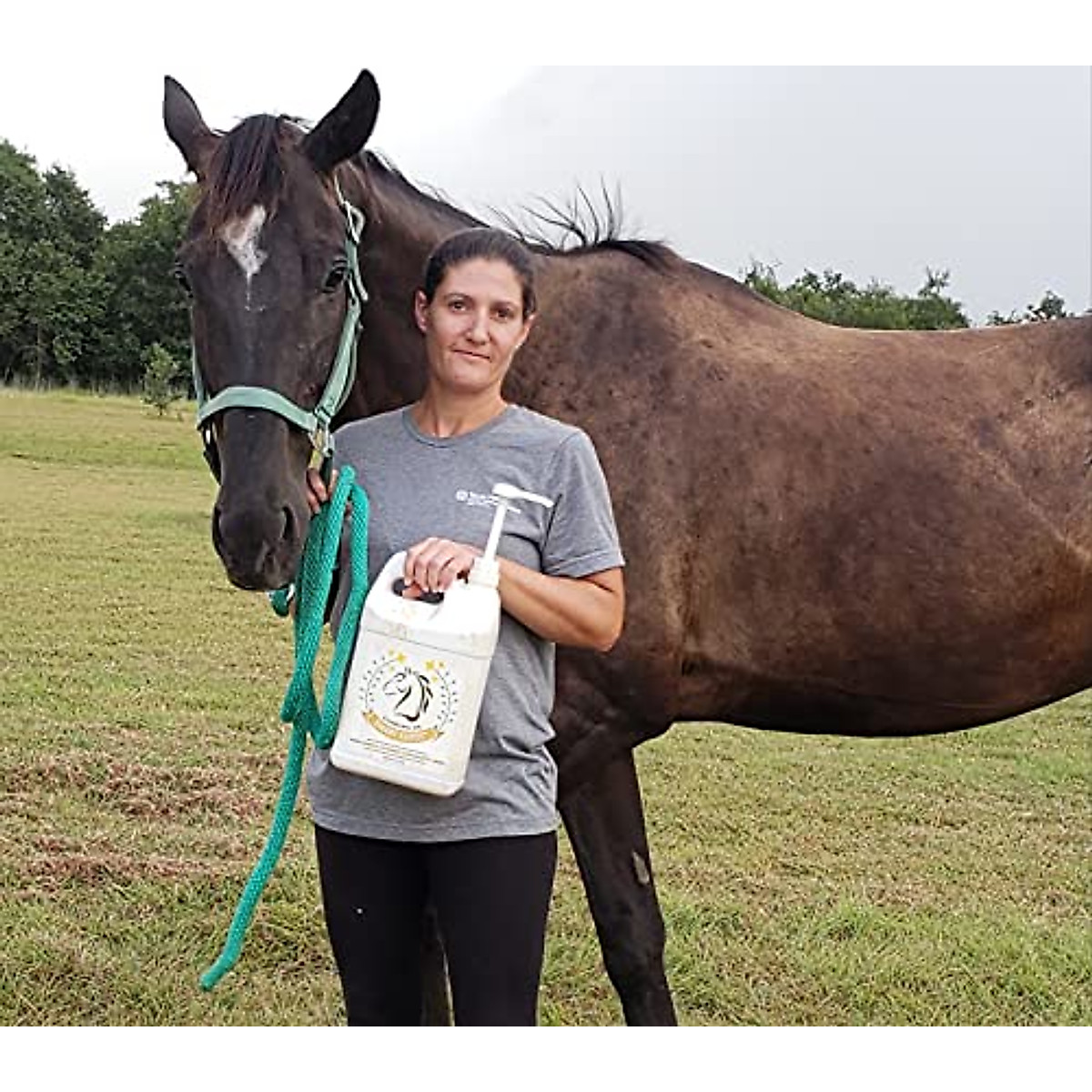 Smart Earth Camelina Horse Oil Supplement for Equine Care & Feed | Essential Oils for Joint Health | 1gal Jug