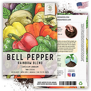 Seed Needs, Rainbow Bell Pepper Seeds - 100 Heirloom Seeds for Planting Capsicum annuum - Perfect for an Indoor or Outdoor Garden, Non-GMO & Untreated (1 Pack (100 Seeds))