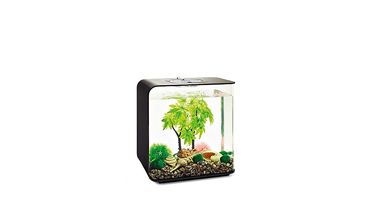 biOrb 30L Summer Decor Set for Vibrant Aquariums
