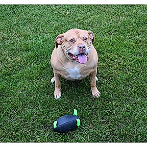 Gioco Dog Rugby Ball - DS