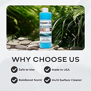 Steam & Go Floor Cleaners for Tile and Wood Floors, All Purpose Cleaner Mopping Solution, Use As Floor Cleaner, Wall Cleaner, and Tile Cleaner, Household Cleaning Supplies, Rainforest Scent, 12oz