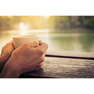 Prospect Tea Co. Caffeinated Vanilla Chai Tea Pods Compatible with K Cup Brewers Including 2.0, 40 Count