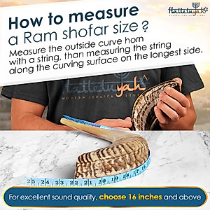 Shofar From Israel 16"-18": KOSHER ODORLESS Ram Horn Shofar | Smooth Mouthpiece for Easy Blowing | Include Velvet Bag, Clean Brush and Shofar Guide - Made In Israel By HalleluYAH