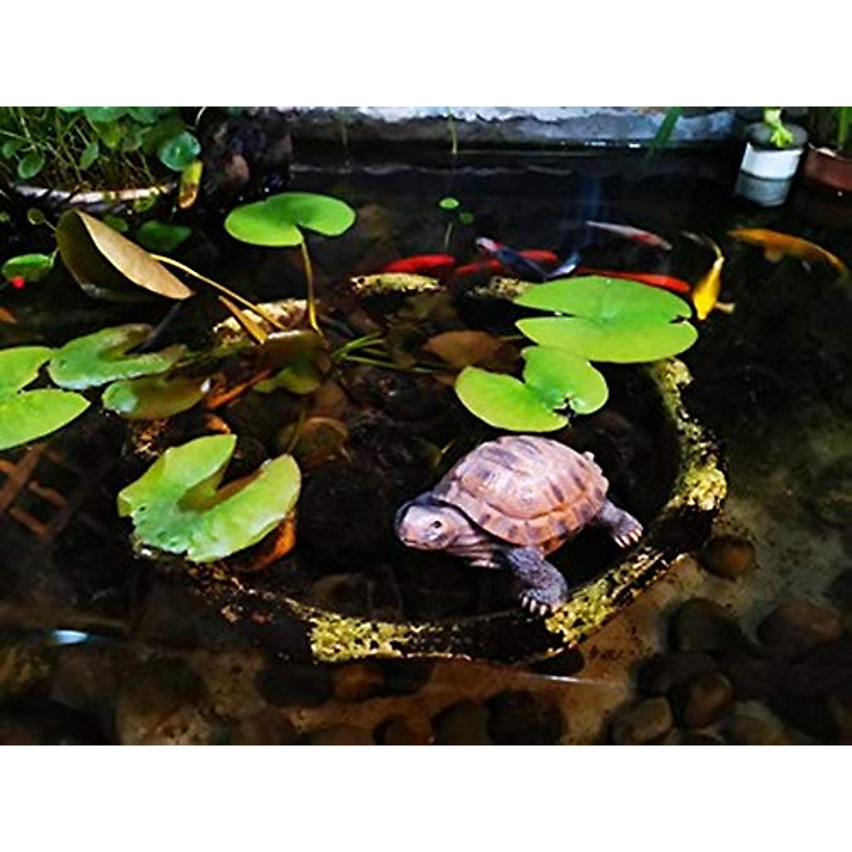 donau Garden Statues Turtle Figurines Polyresin Garden Sculpture Turtle Decor 5.1 inch