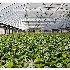 Garden Netting Pest Barrier: 4'x10' Fine Bug Netting for Garden Protection Row Cover Raised Bed Screen Mesh Greenhouse Mosquito Net, Protecting Tree Plants Vegetable Flowers Fruits