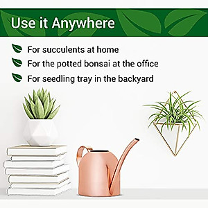 MOnu Small Metal Watering Can - Cute Mini Indoor Decorative Watering Pot for Desk Office House Plants Orchids Herbs Bonsai Succulents - Gardening Tool Sprinkler with Long Spout - 15oz/500ml Rose Gold