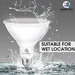 ENERGETIC 100W Outdoor Par38 Led Flood Light,1250lm,5000K Daylight,Dimmable, E26 Base,Waterproof Spot Bulb,UL Listed (12 Pack)