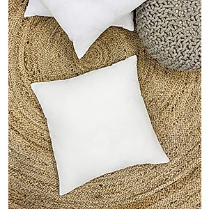 Hausattire Throw Pillow Insert 12x12 Inches - Set of 2, Premium White Pillows for Bed and Couch