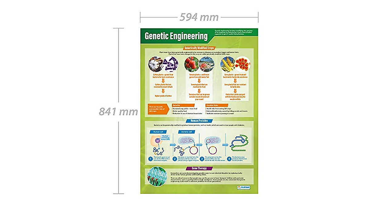 Daydream Education Genetic Engineering Poster for Classrooms