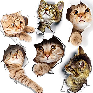 6PCS 3D Wall Stickers Cats Self Adhesive, Kids Wall Decals/Removable Vinyl Art Murals for Living Room Baby Rooms Bedroom Toilet House Wall DIY Decoration