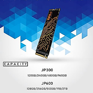LEVEN JP600 4TB PCIe NVMe Gen3x4 PCIe M.2 2280 Internal SSD (Solid State Drive) (Packaging May Vary)