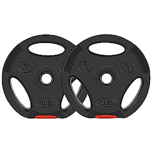 Signature Fitness 100LBS Vinyl Standard 1-Inch Plate Weight Plate for Strength Training and Weightlifting