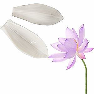AK ART KITCHENWARE Lotus Leaf & Petal Veiners Gum Paste Flower Craft Mold for Fondant Cake Decorating Supplies Pastry Baking Tools VM097&VM147