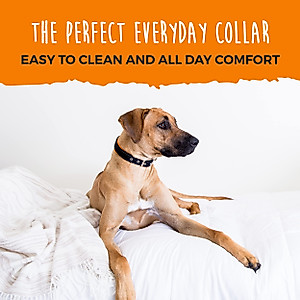 Mighty Paw Ultra Soft Dog Collar - Ultimate Comfort with Soft Neoprene Padding - All-Metal Adjustable Buckle for Large & Small Dogs - Mighty Strong for Long Lasting Durability - Fun in All Climates