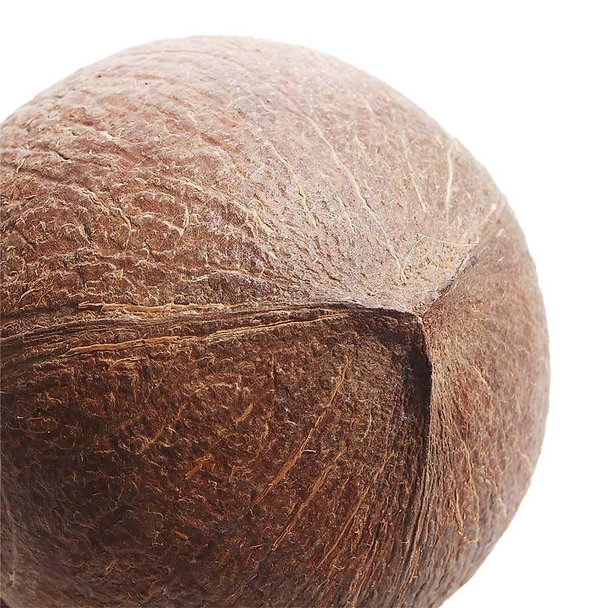 Leadigol Coconut Bird Nest Hut with Ladder for Parrots Parakeet Cockatiel,Hammock Parakeet Budgies Parrot Toy Warm Coconut Woven Straw Natural Winter Cage Hut Tent House Parrot Cage Accessories